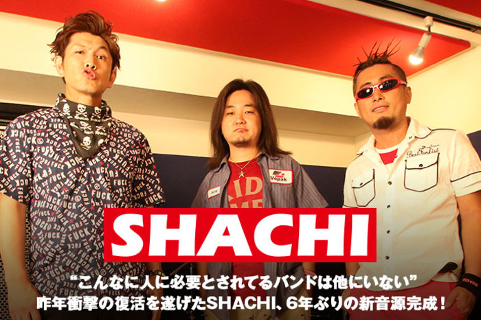 SHACHI | 激ロック インタビュー