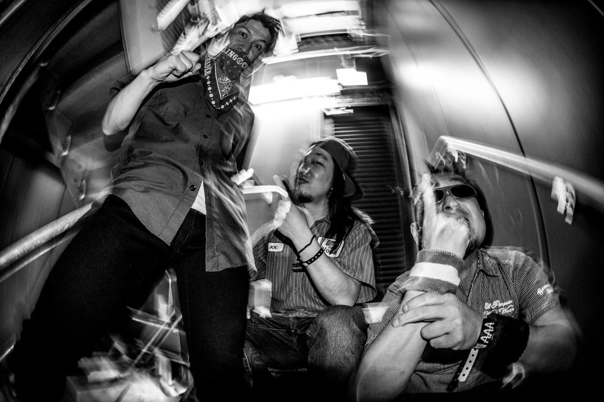 SHACHI、7月にリリースした会場限定シングルより「ヒマワリ」MV公開！ | 激ロック ニュース